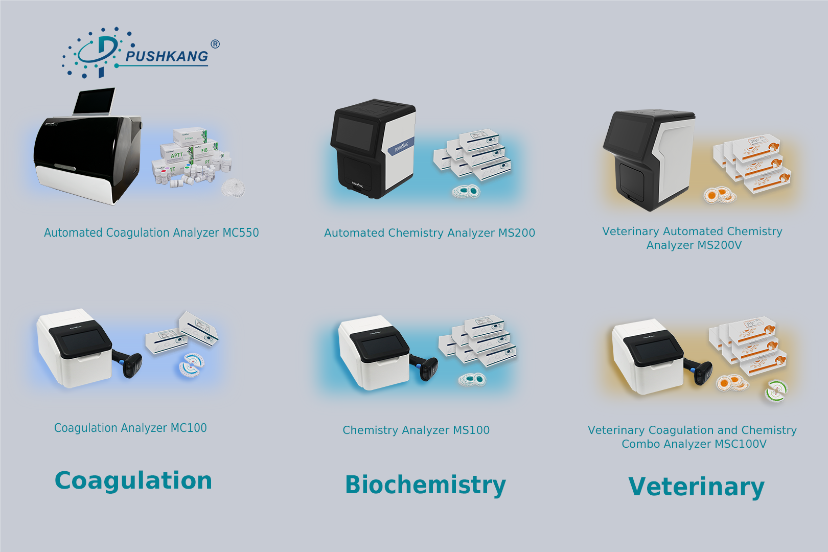 New Year’s First Exhibition-Pushkang in Dubai